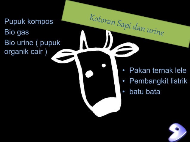 Briding sapi brahman untuk masyarakat pedesaan | PPT