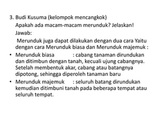 Kelompok merunduk | PPT