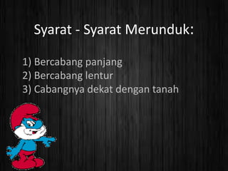 Kelompok merunduk | PPT