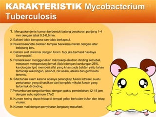mikrobiologi tbc (TUBERKULOSIS) | PPTX