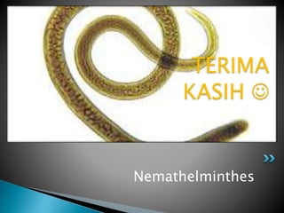 Nemathelminthes (Nematoda) | PPTX