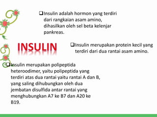 Terapi-Insulin Diabetes Melitus (IDDM & NIDDM) | PPTX