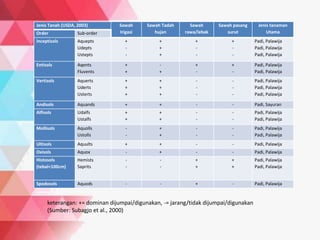 Kelompok 5 psl | PPTX