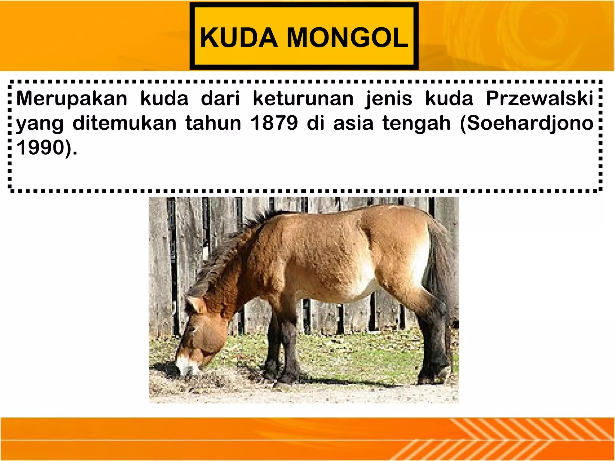 jenis - jenis kuda | PPT