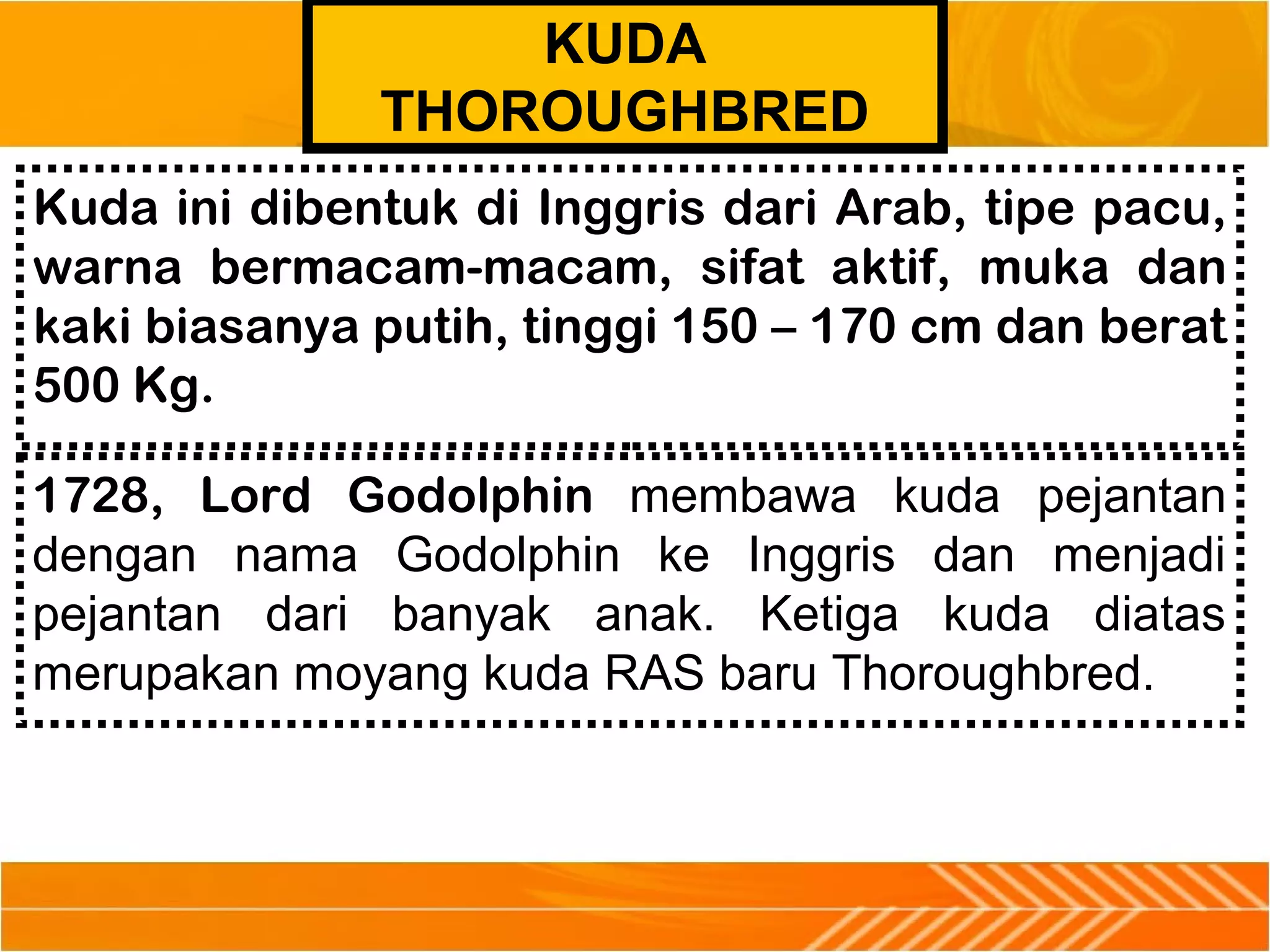 jenis - jenis kuda | PPT