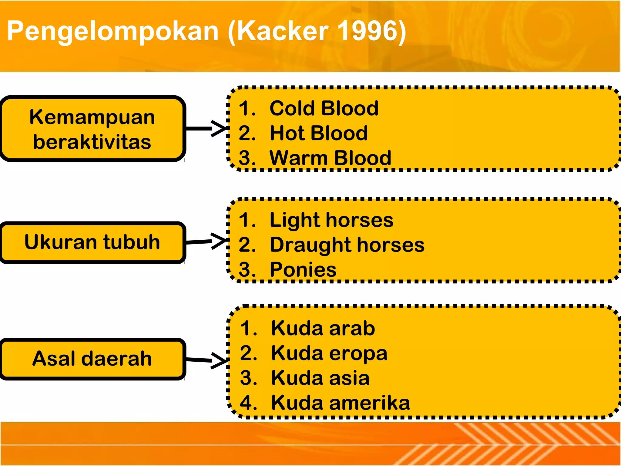jenis - jenis kuda | PPT