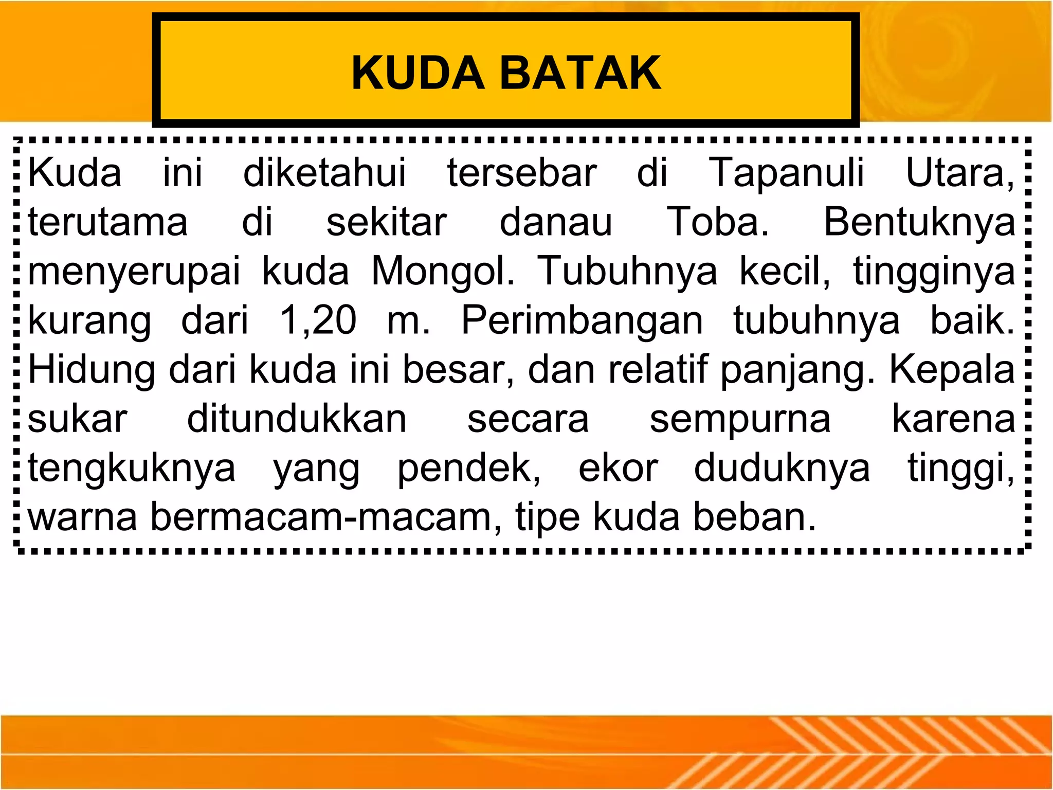 jenis - jenis kuda | PPT