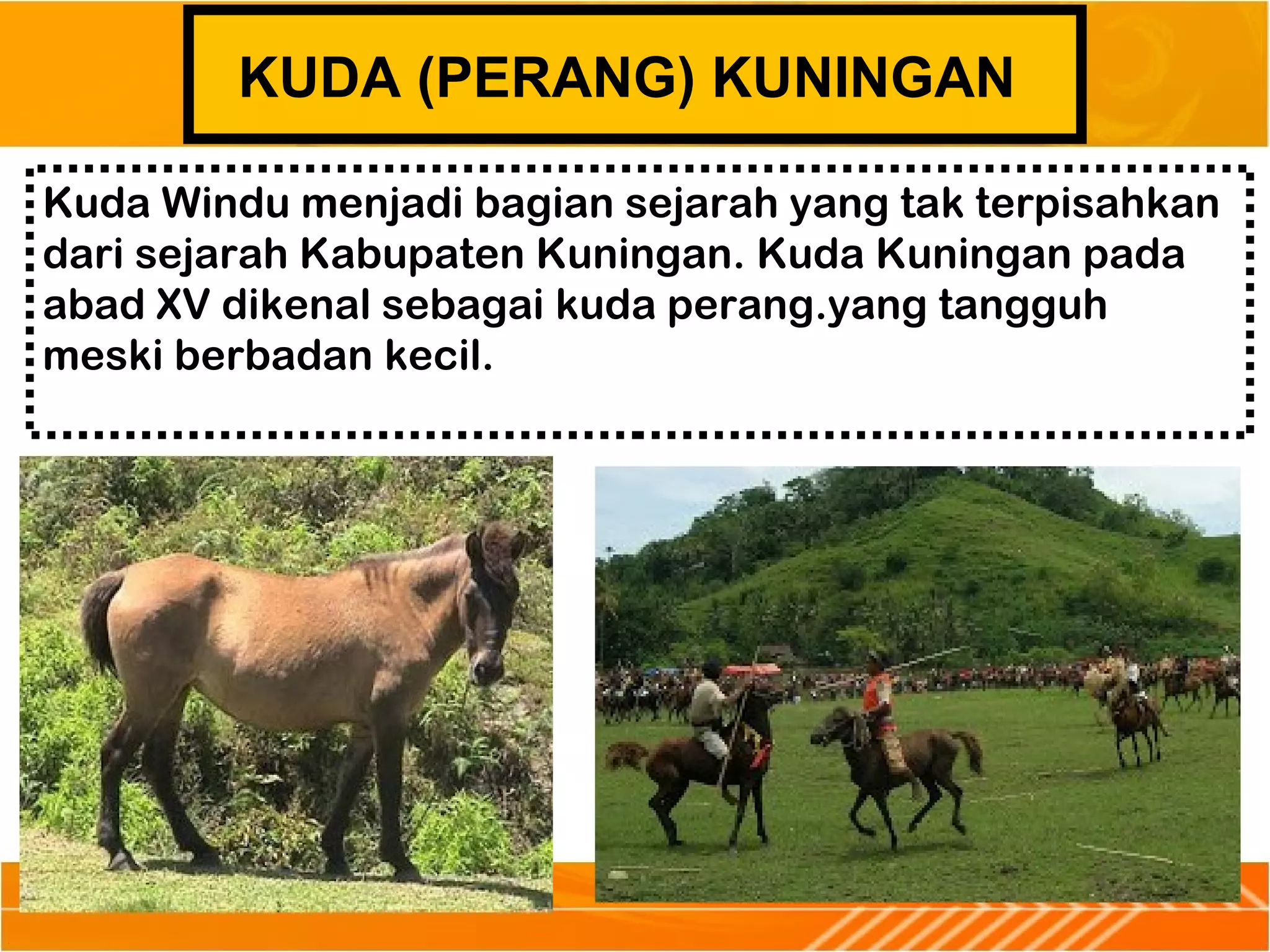 jenis - jenis kuda | PPT