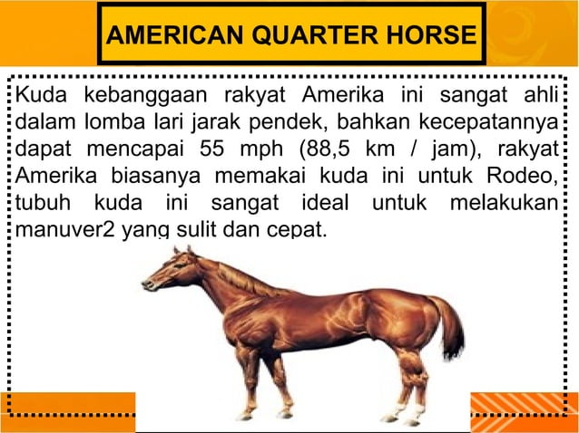 jenis - jenis kuda | PPT