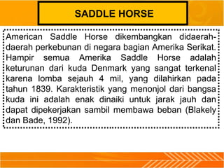 jenis - jenis kuda | PPT