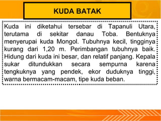 jenis - jenis kuda | PPT