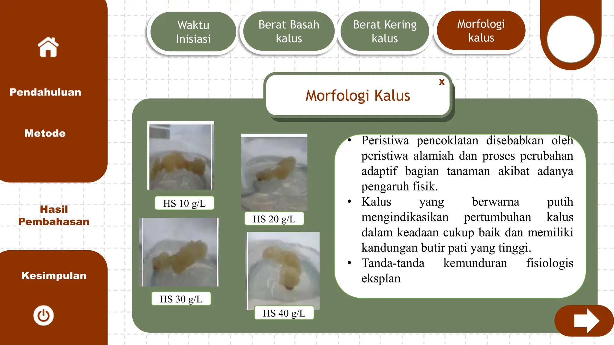 KELOMPOK X PPT KULTUR JARINGAN HORTIKULTURA (TOMAT).pptx