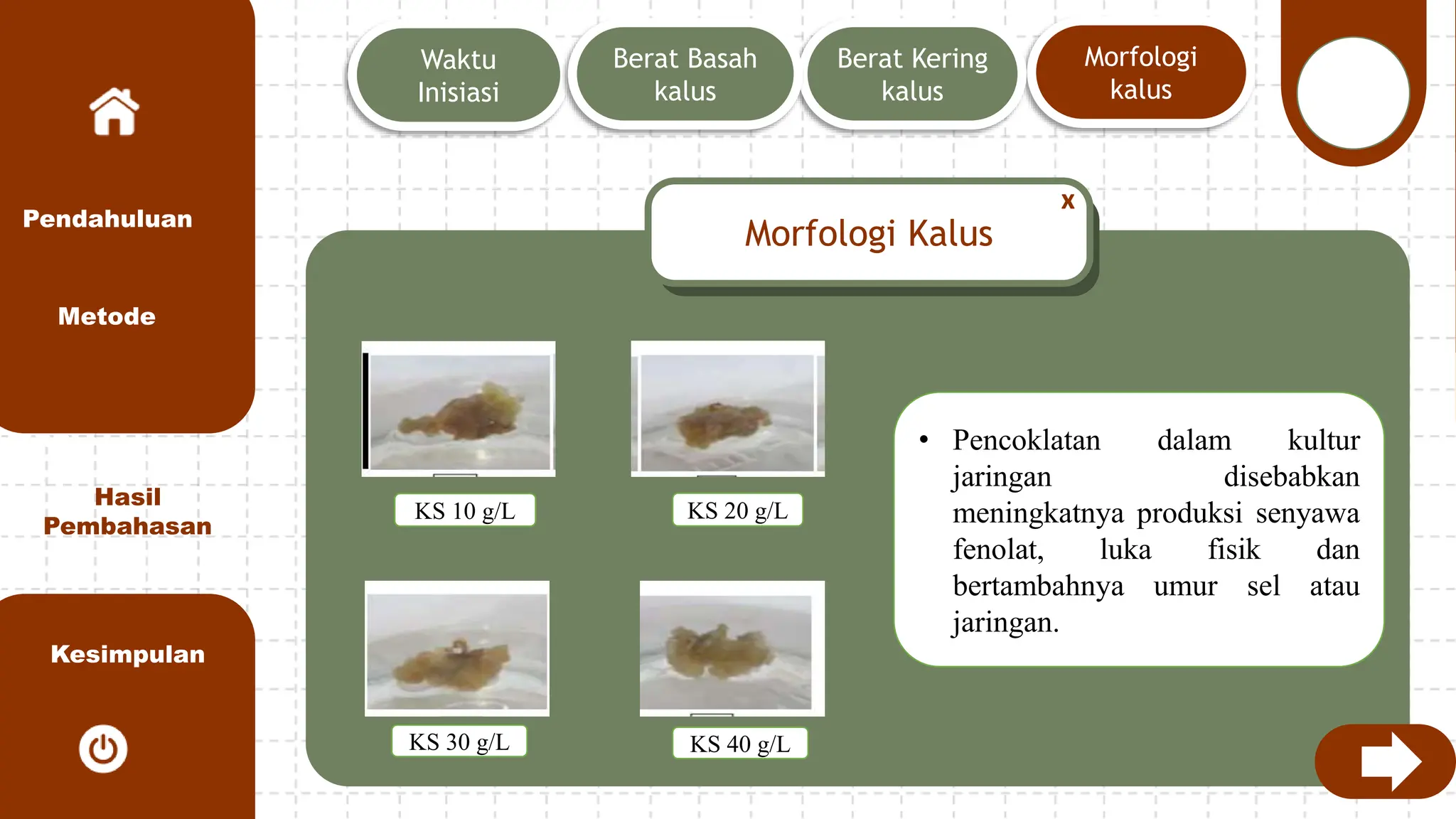 KELOMPOK X PPT KULTUR JARINGAN HORTIKULTURA (TOMAT).pptx