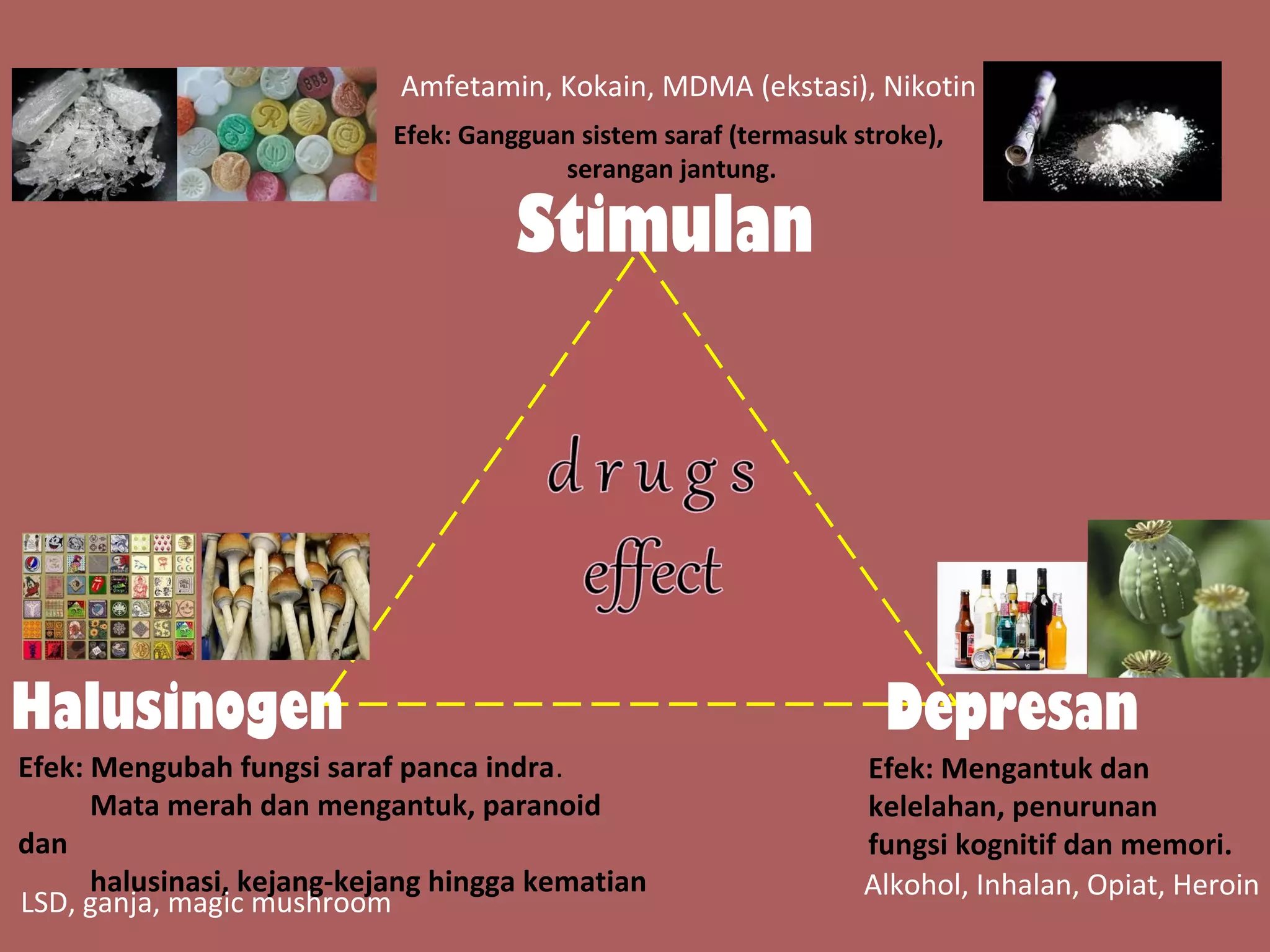 Keluargaku hidup sehat, berprestasi tanpa narkoba | PPT