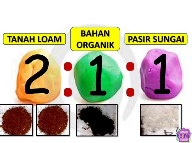 Kemahiran hidup | PPTX