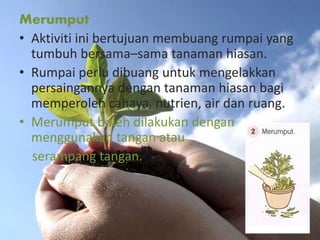 KHB Tingkatan 2 [Tanaman Hiasan Pemasuan Semula] | PPTX