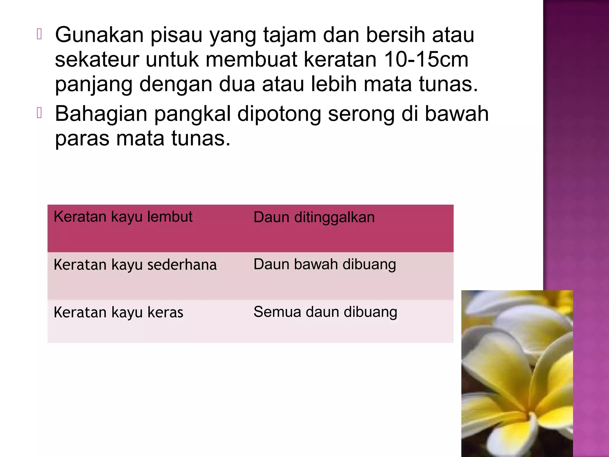 Kemahiran hidup pembiakan secara keratan batang | PPT