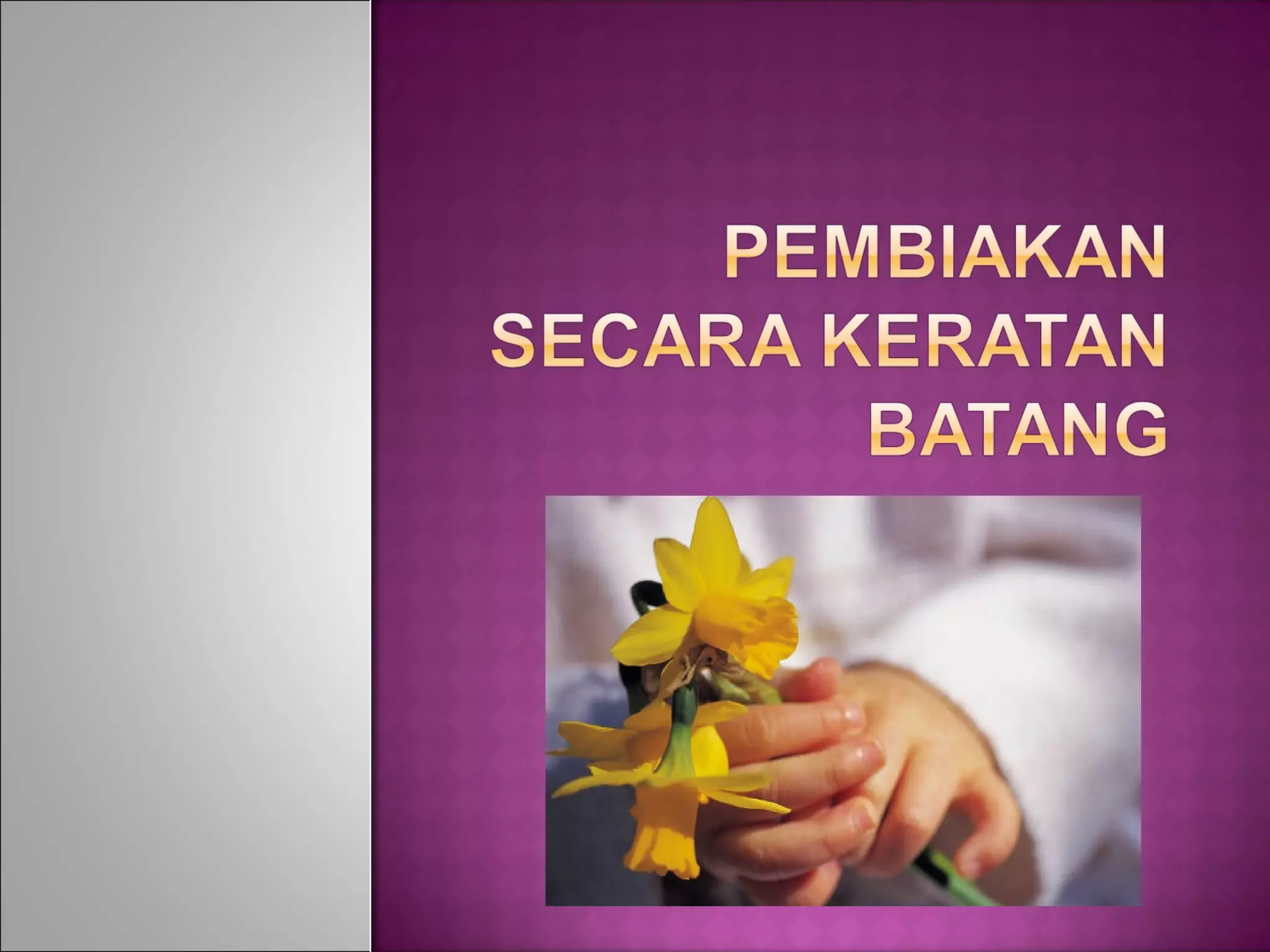 Kemahiran hidup pembiakan secara keratan batang | PPT