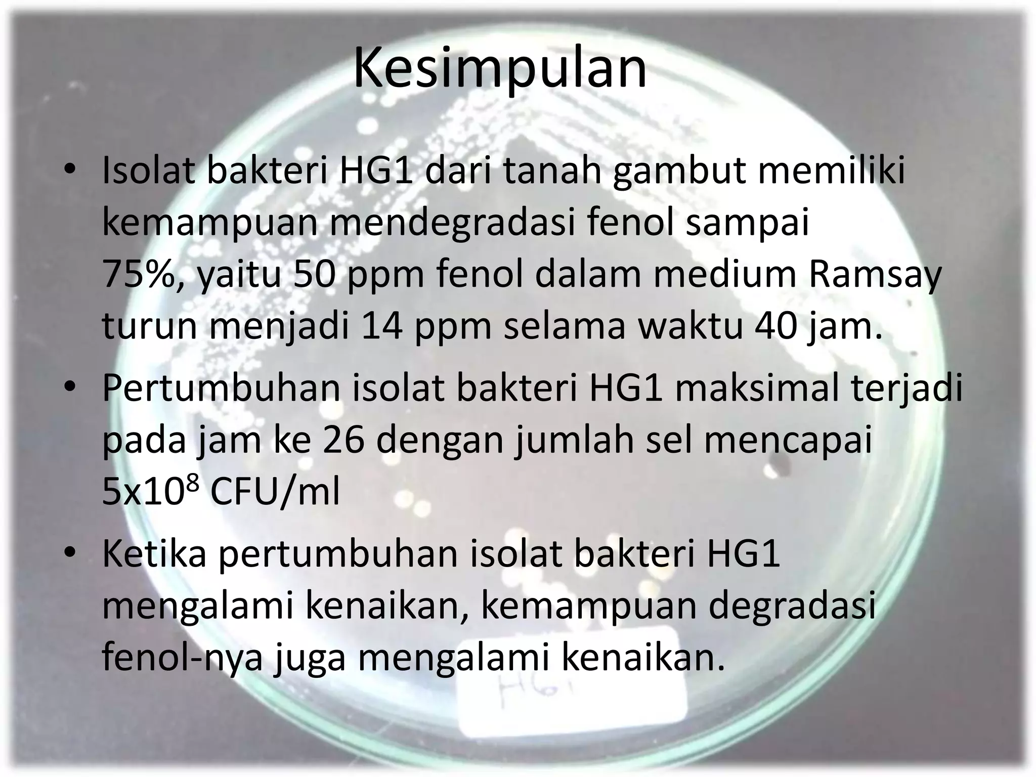 Kemampuan degradasi fenol oleh isolat bakteri dari tanah | PPTX