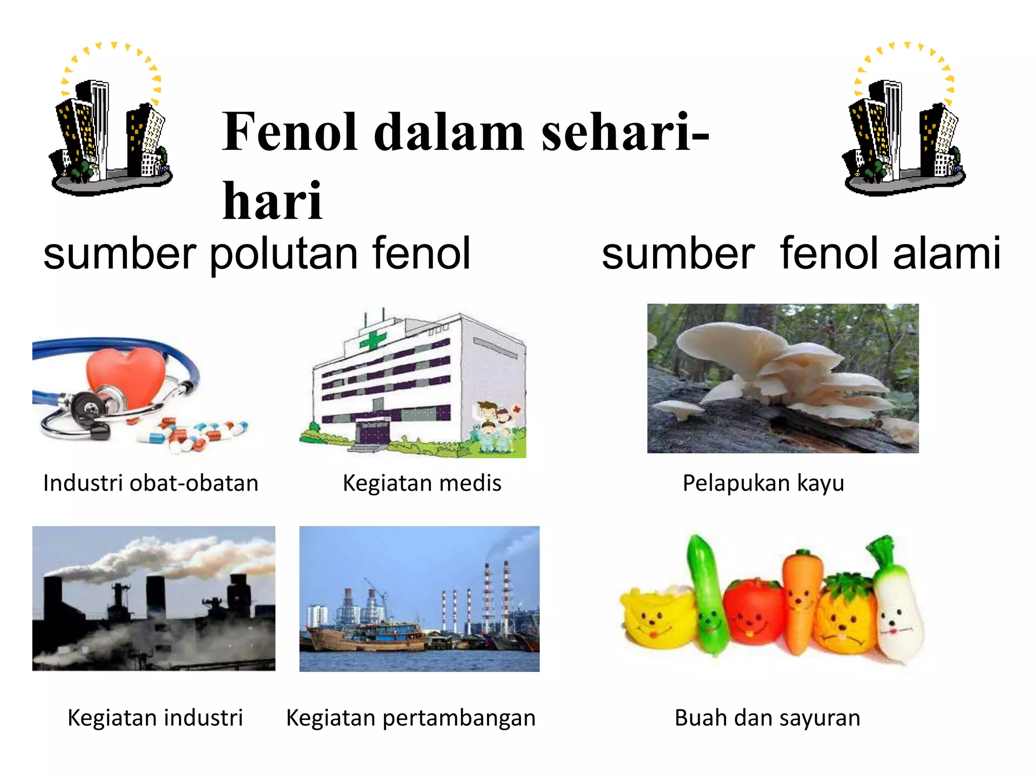 Kemampuan degradasi fenol oleh isolat bakteri dari tanah | PPTX