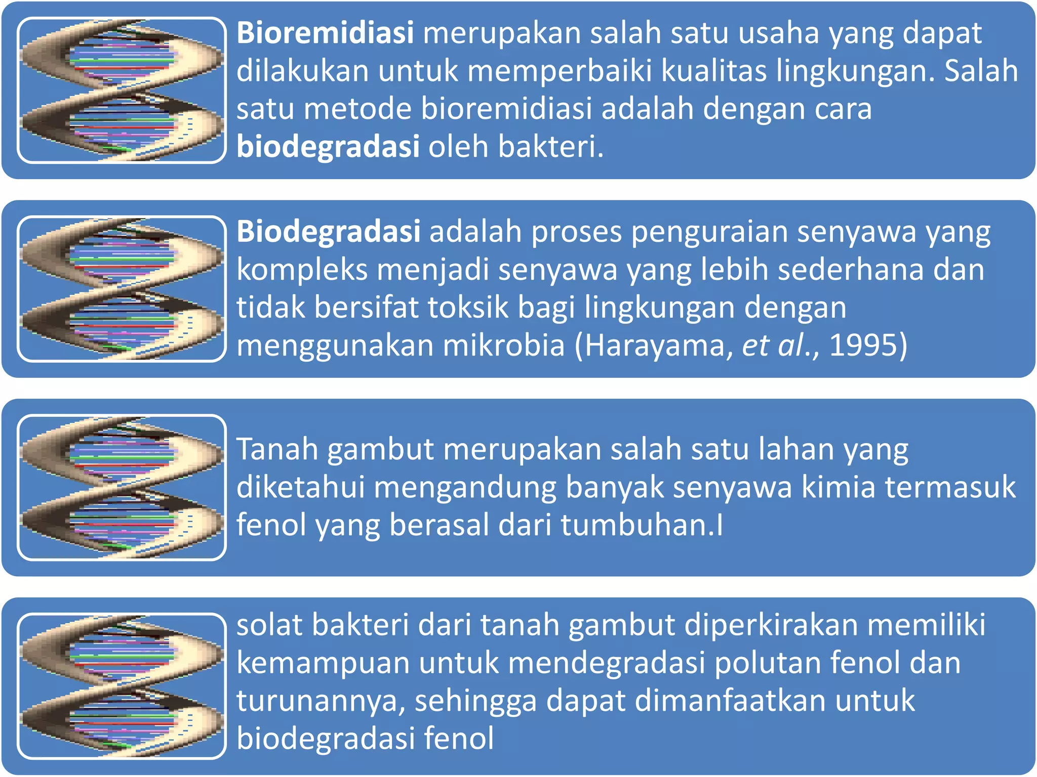 Kemampuan degradasi fenol oleh isolat bakteri dari tanah | PPTX