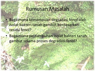 Kemampuan degradasi fenol oleh isolat bakteri dari tanah | PPTX