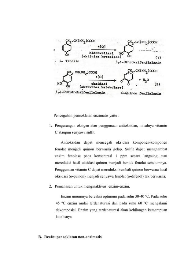 Kemanisan pencoklatan__karamelisasi_dan_reaksi_maillard | DOC