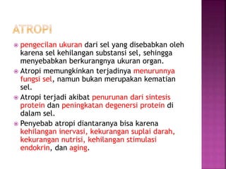 Kematian Pada Sel | PPTX