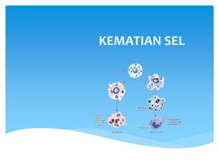 KEMATIAN-SEL.pptx