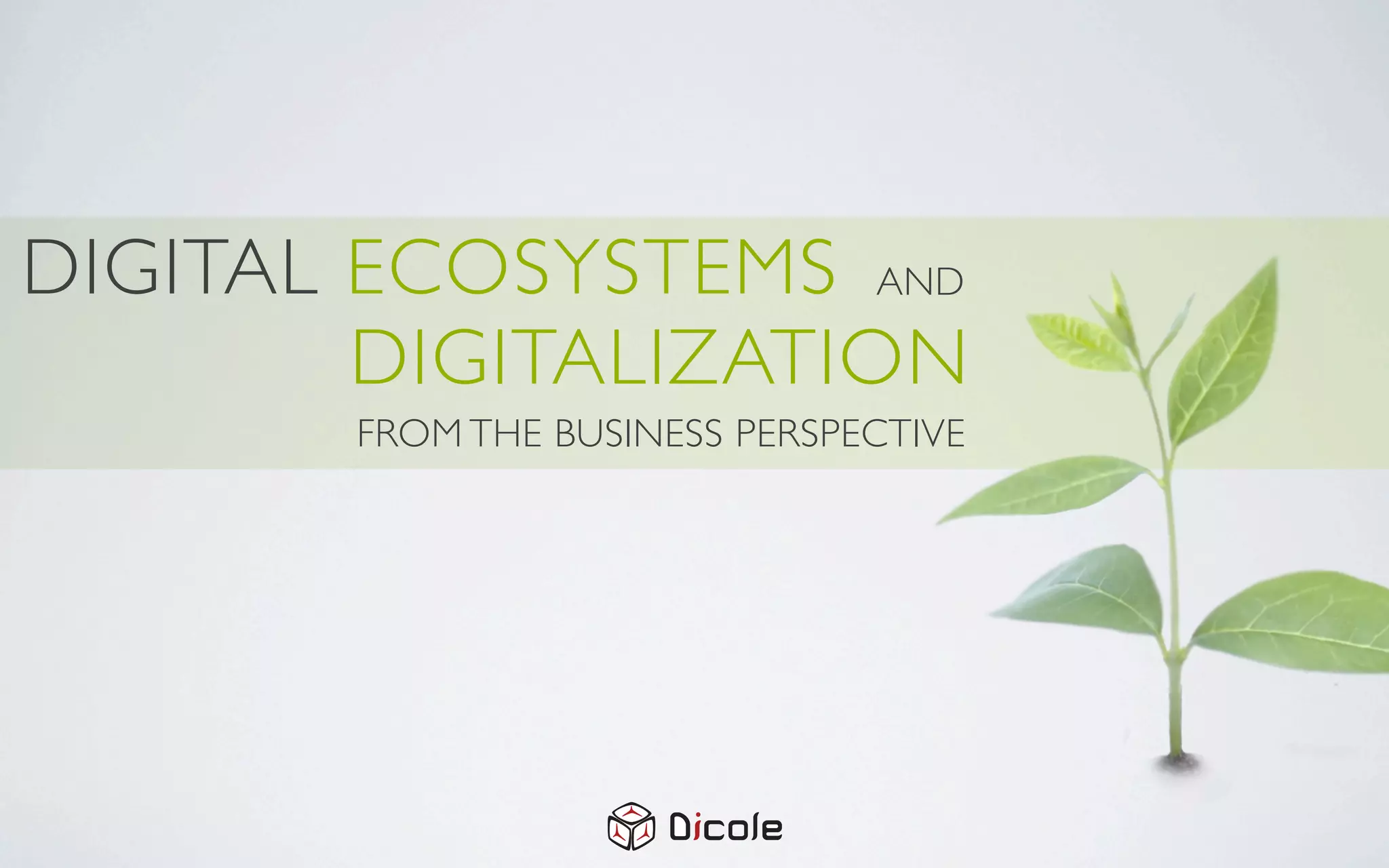 Digital ecosystems and digitalization from the business perspective ...