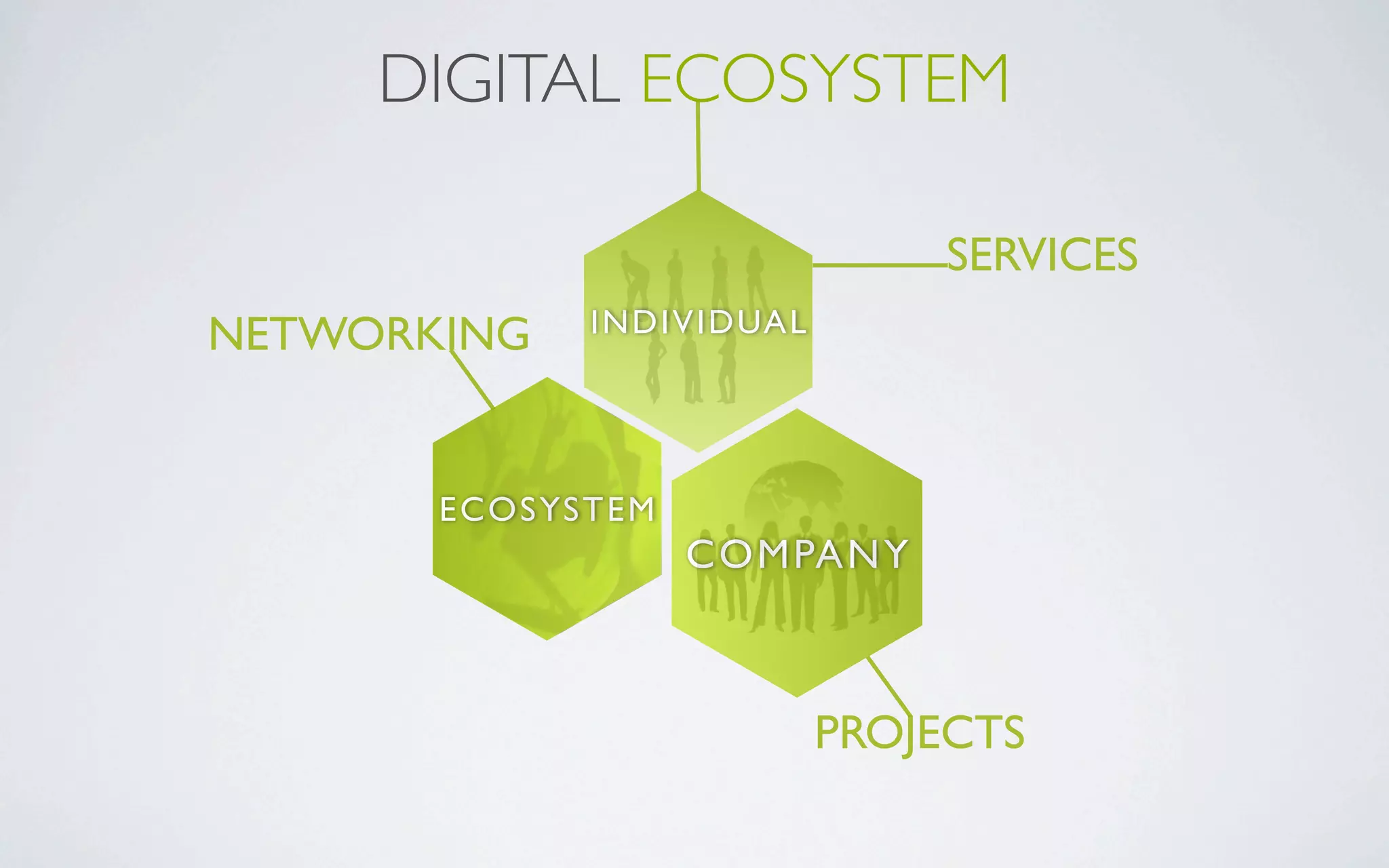 Digital ecosystems and digitalization from the business perspective | PPT