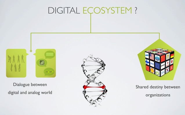 Digital ecosystems and digitalization from the business perspective ...