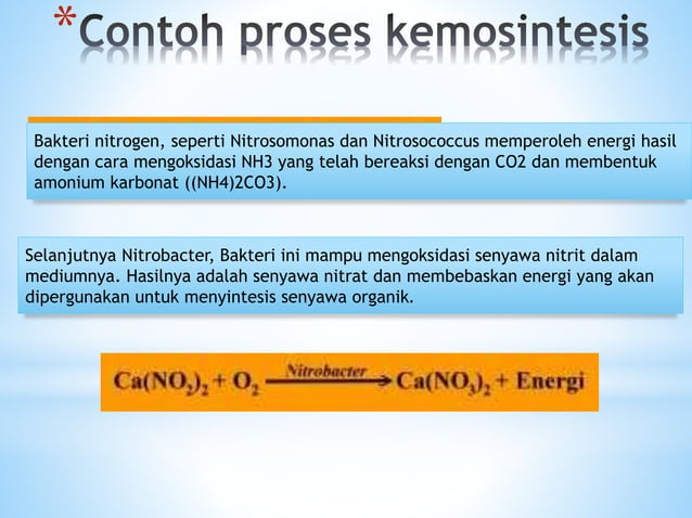 Kemosintesis Biologi sma dan Universitas | PPT
