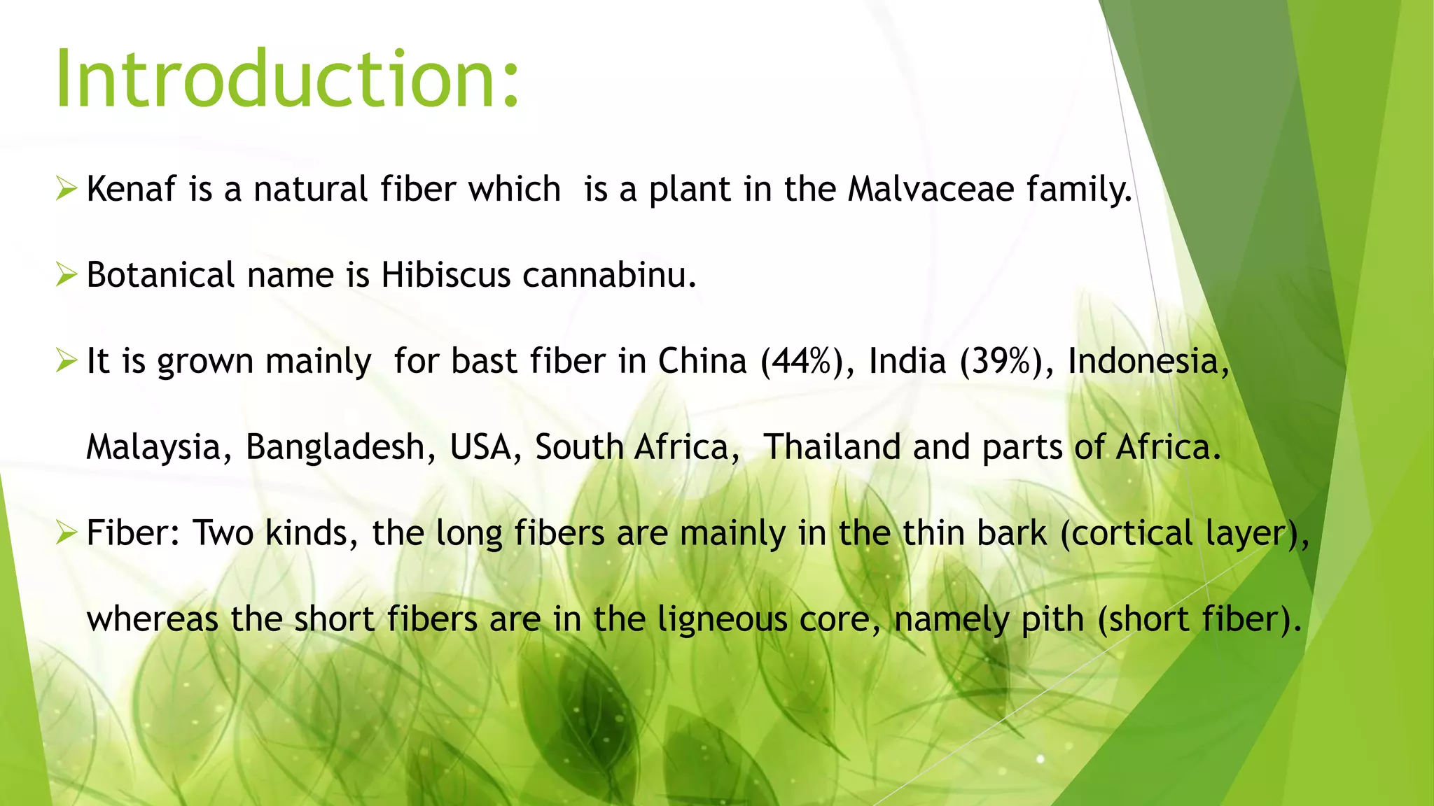 Kenaf fiber(Bast fiber) | PPTX
