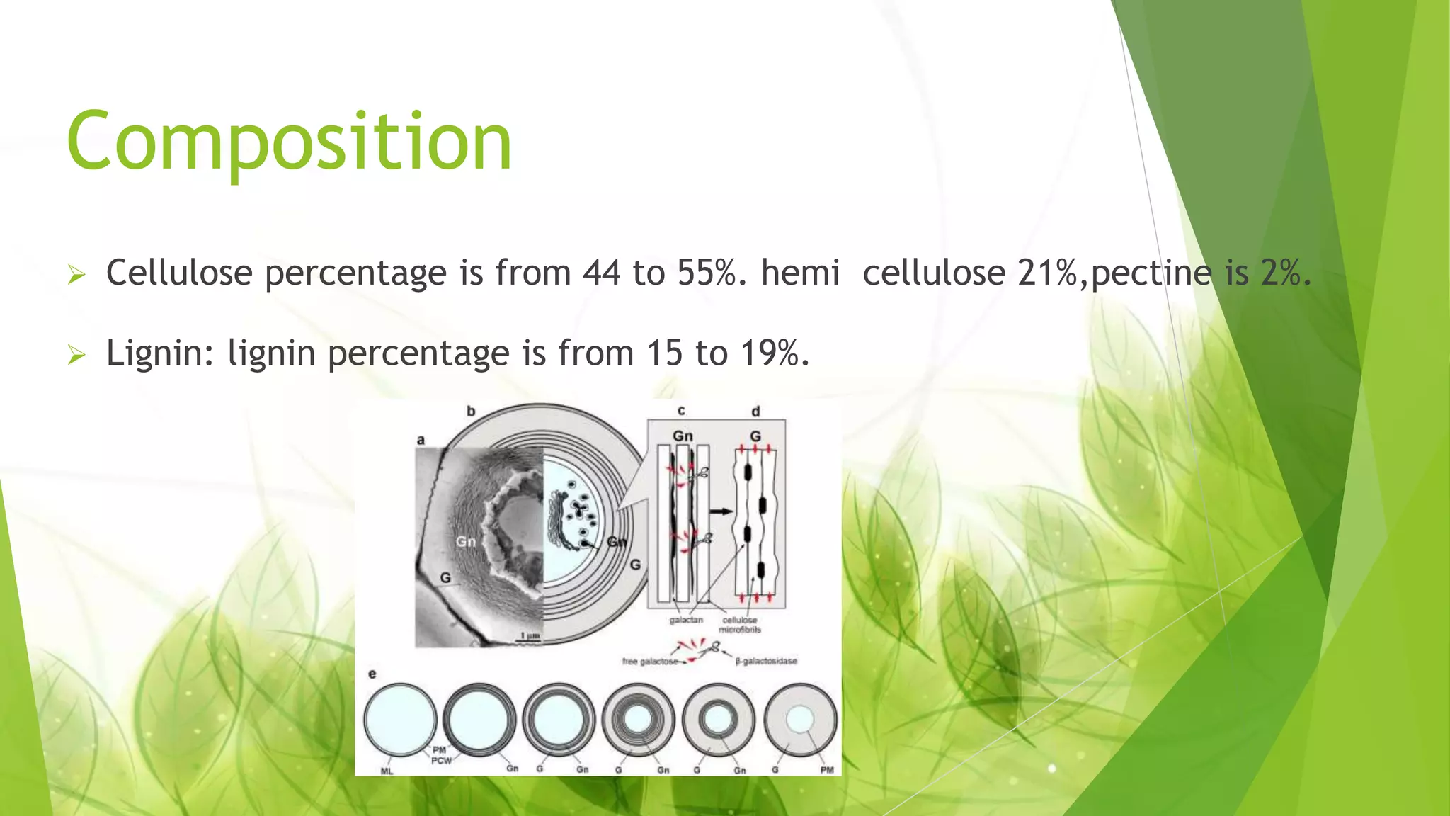 Kenaf fiber(Bast fiber) | PPTX