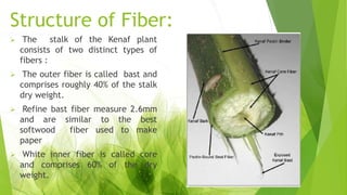 Kenaf fiber(Bast fiber) | PPTX