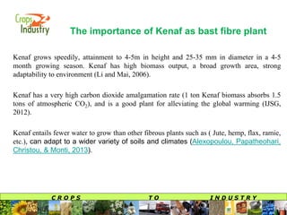 kenaf CE presentation.pdf