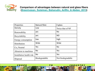 kenaf CE presentation.pdf
