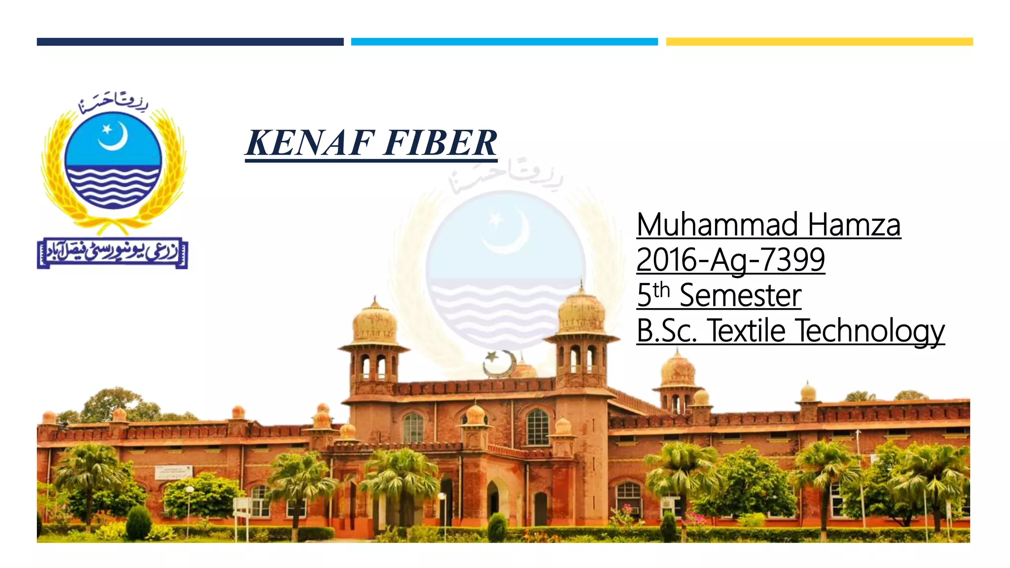 Kenaf plant | PPTX | Needlework | Arts and Crafts