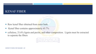 Kenaf plant | PPTX | Needlework | Arts and Crafts