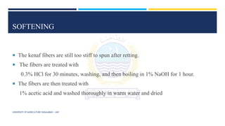 Kenaf spinning | PPTX | Needlework | Arts and Crafts