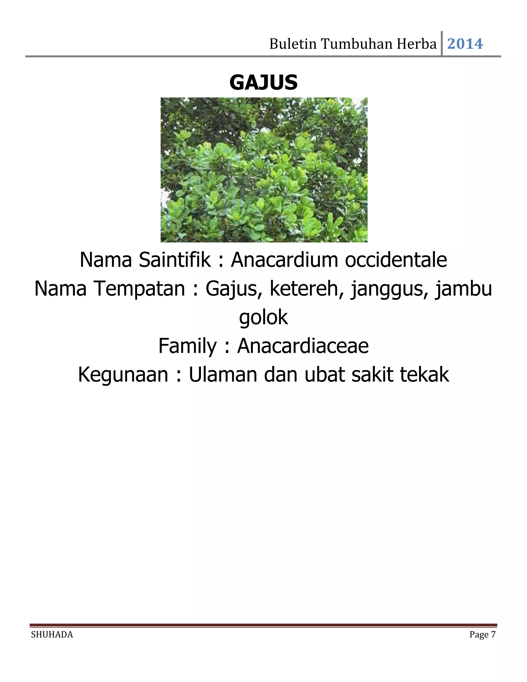 Kenali tumbuhan di negara kita | PDF