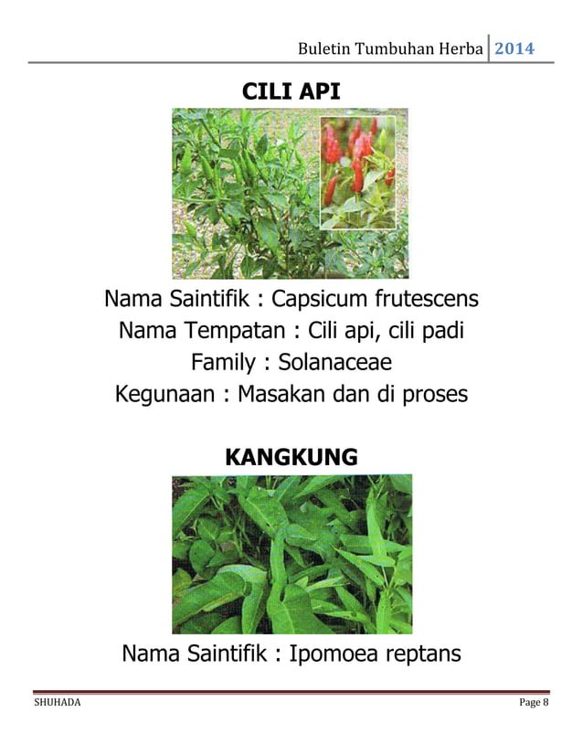 Kenali tumbuhan di negara kita | PDF