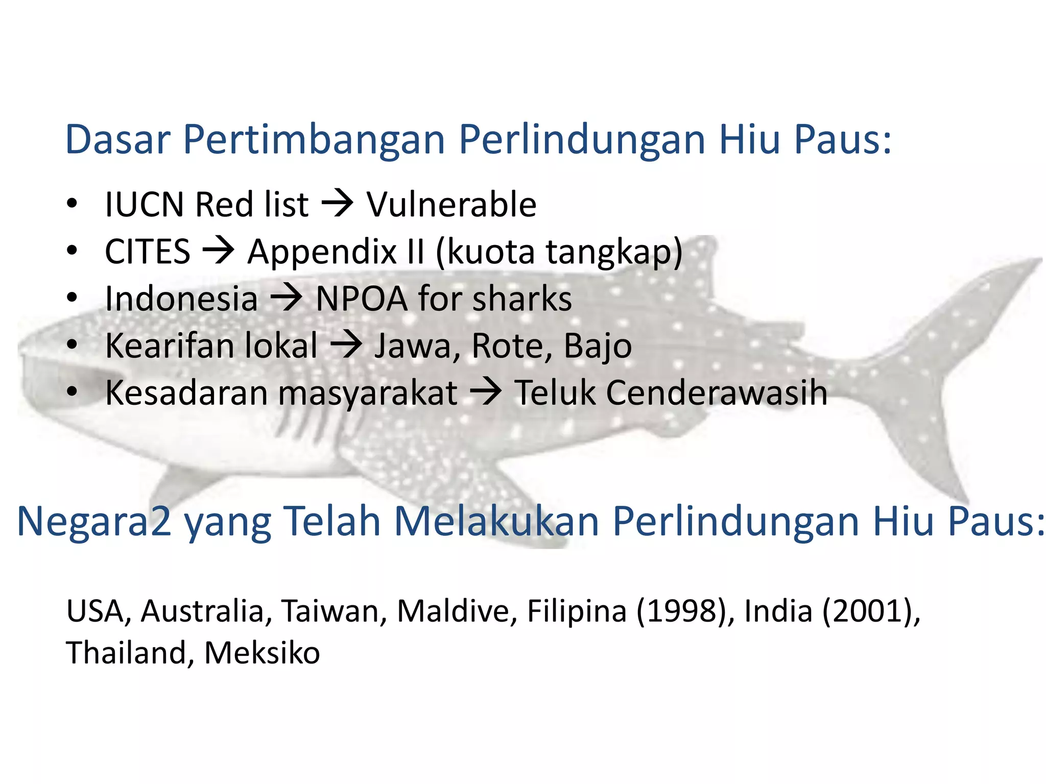 Kenapa Hiu Paus (Rhincodon typus) Harus Dilindungi | PPTX