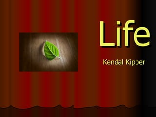 Kendal Kipper | PPT
