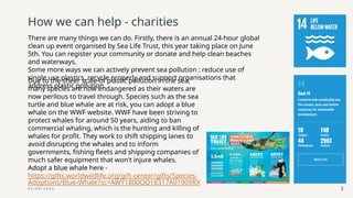 life below water, a presentation by kendall page | PPTX