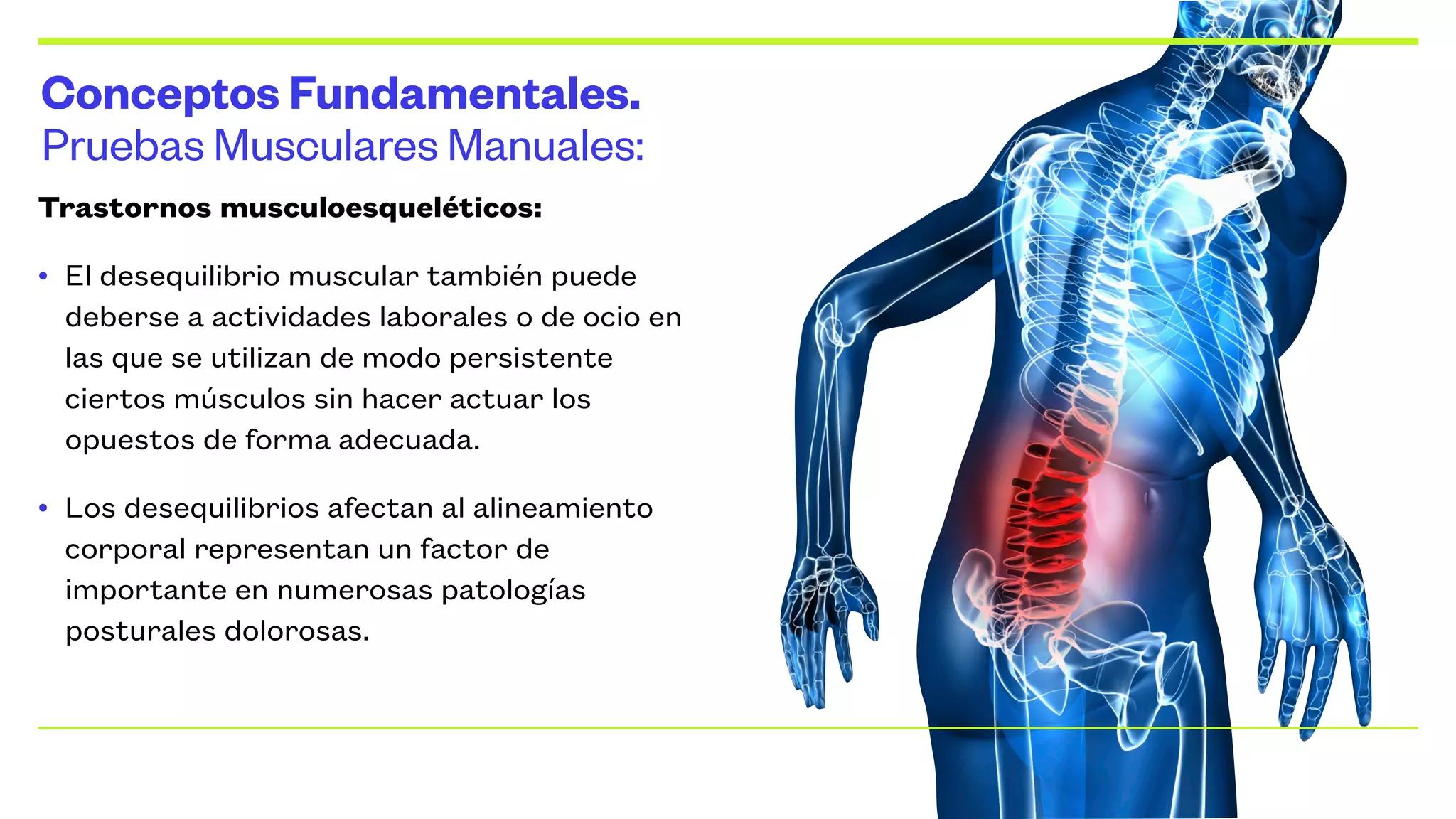 Músculos Pruebas Funcionales, Postura y Dolor. Resumen del capítulo 1 ...