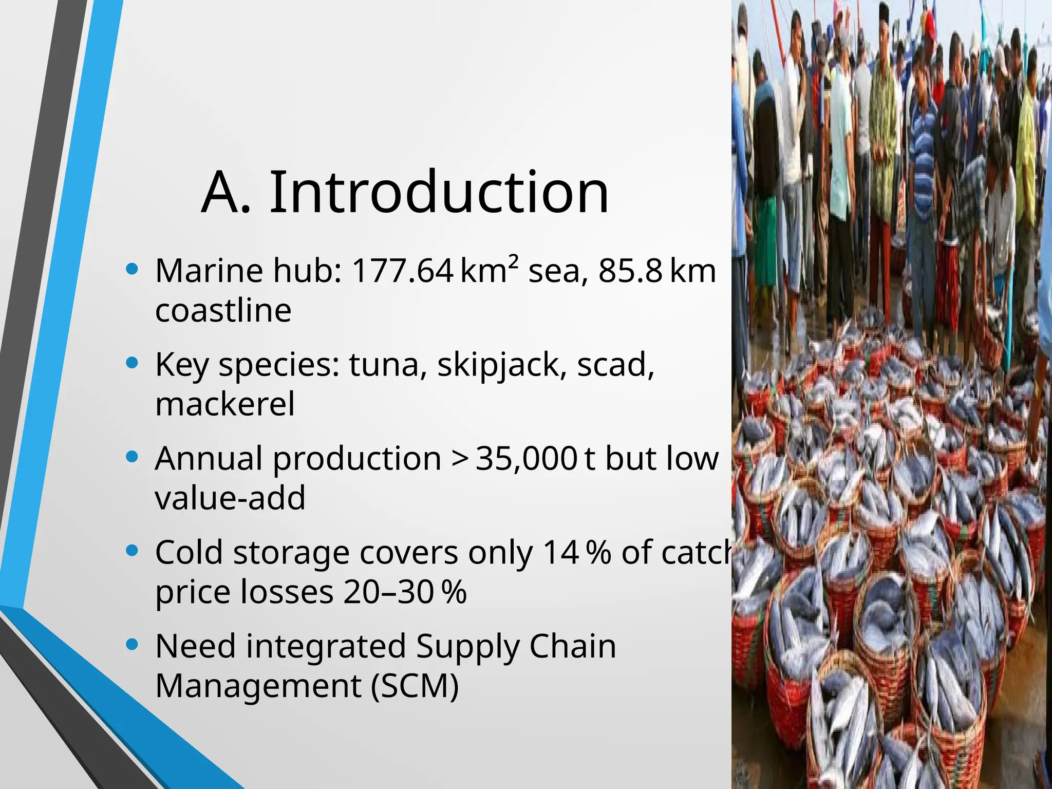 Kendari_Fisheries_SCM_Presentation.jfjfj | PPTX
