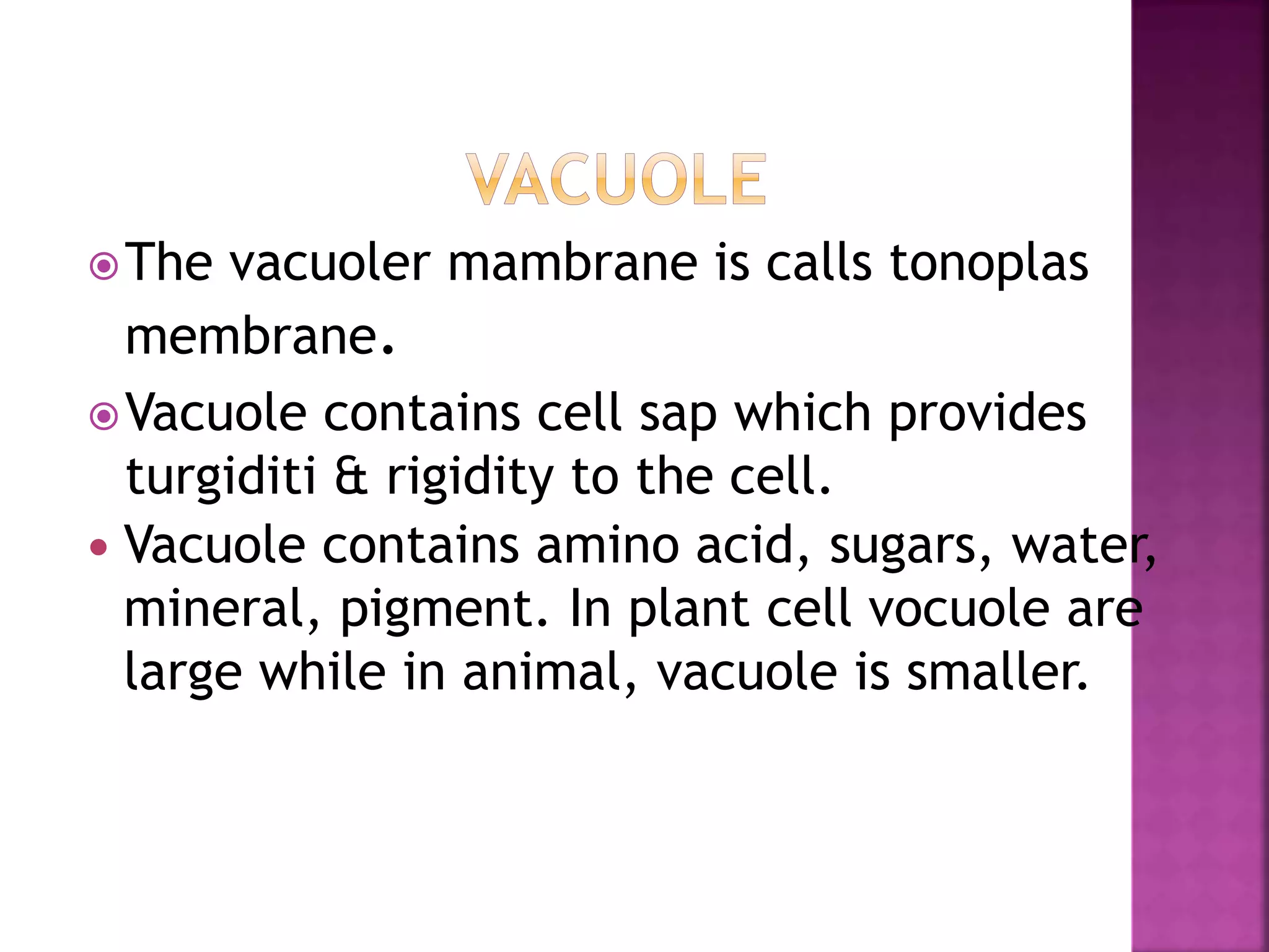 golgi bodies bio class 9 | PPTX