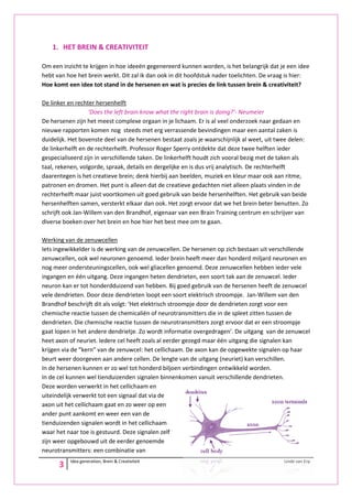 Kennis kring - Brein & Creativiteit | PDF